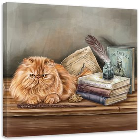 Gario Obraz na plátně Kočka odpočívá ve studiu - Svetlana Gracheva Rozměry: 30 x 30 cm