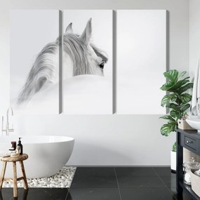Vícedílný obraz Andaluský Kůň V Mlze Nedostatek Nedostatek Přírodní plátno 60x40