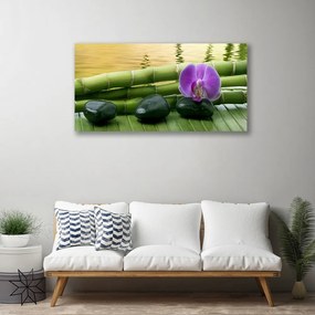 Obraz na plátně Květ Kameny Bambus Příroda 125x50 cm