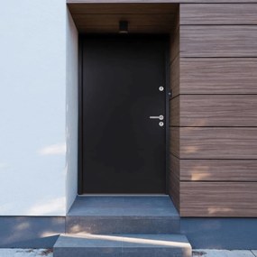 vidaXL Vchodové dveře 110 x 207,5 cm hliník [3190540] Barva: antracitová