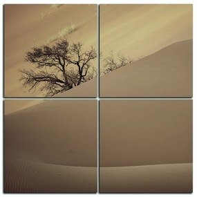 Obraz na plátně - Červené písečné duny - čtverec 3133FE (60x60 cm)