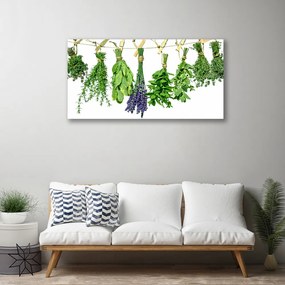 Obraz na plátně Plátky Květiny Byliny 120x60 cm