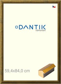 DANTIK rámeček 59,4x84 | Forgia Gold (Plexi Čiré)