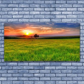 akrylový obraz Louka Slunce Příroda 120x60 cm