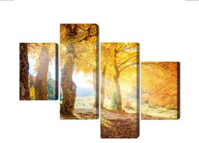 Vícedílný obraz Slunečný Podzimní Les Nedostatek Nedostatek Přírodní plátno 240x150