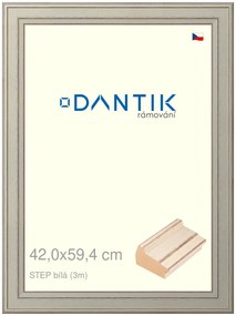 DANTIK rámeček 42x59,4 | STEP bílá (Plexi Čiré)