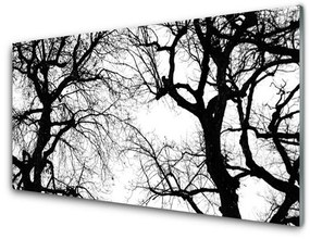 Obraz na skle Stromy Příroda Černobílý 140x70 cm
