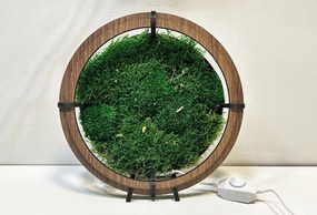 Li-Go "Mechové kopečky" lampa/obraz 31 cm provedení povrchu: dub světlý