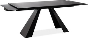 Casarredo - Komfort nábytek Rozkládací jídelní stůl SALVADORE černá kov/sklo