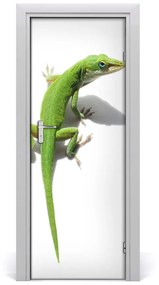 Samolepící fototapeta na dveře Zelená ještěrka 75x205 cm