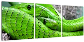 Obraz zelených hadů (s hodinami) (90x30 cm)