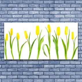 Plexisklo-obraz Žluté Tulipány Květiny 120x60 cm