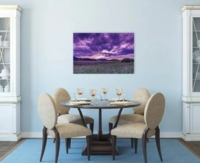 Malvis ® Obraz na plátně Levandulové království Velikost (šířka x výška): 90x60 cm
