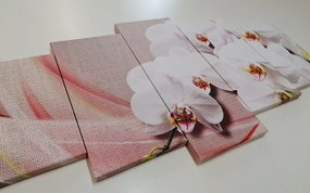 5-dílný obraz bílá orchidej na plátně - 200x100 cm