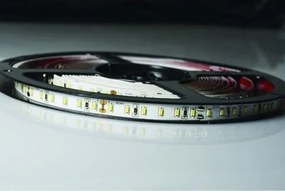 KHL K55008.CV.55K.65 LED pásek FLEX CV 15 LED 15W/M 5500K IP65 - KOHL-Lighting