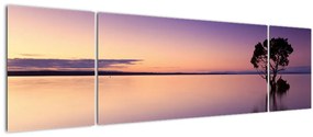 Obraz vodní hladiny při východu slunce (170x50 cm)