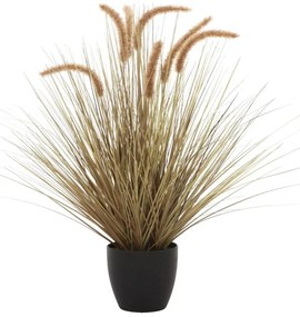 Hnědá polní tráva v květináči 68 cm