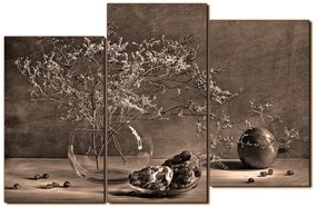 Obraz na plátně - Zátiší - větev a granátové jablko 1274FD (105x70 cm)