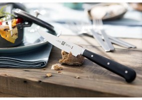 Zwilling TWIN set steakových nožů 4 ks, 39029-002