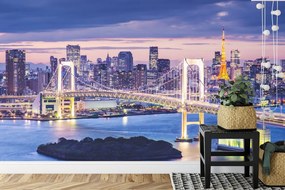 Fototapeta Rainbow Bridge In Tokio Strukturální vinyl 416x254