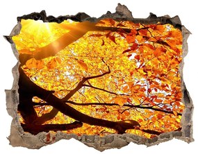 Wallmuralia Samolepící díra na stěnu Koruna stromů podzim 95x64 cm