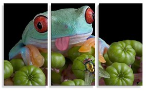 Sablio Obraz - 3-dílný Veselá žába - 120x80 cm