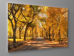 Liox Obraz podzim v Central Parku Rozměr: 150 x 100 cm
