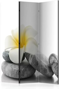 Paraván White Lotus Dekorhome 135x172 cm (3-dílný)