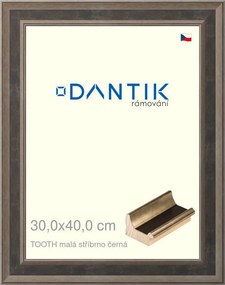 DANTIK rámeček 30x40 | TOOTH malá stříbrno černá (Plexi Čiré)