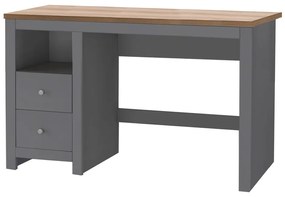 Pracovní stůl s deskou v dubovém dekoru 50x120 cm Emerald – Støraa