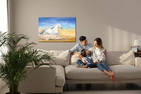 Obraz Kůň Cválající V Poušti Nedostatek Nedostatek Plátno Canvas 40x30