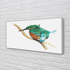 Obrazy na plátně Barevné malované papoušek 140x70 cm