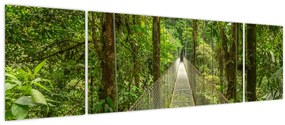 Obraz - Závěsný most (170x50 cm)