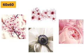 Set obrazů jemnost květin