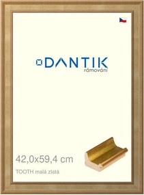 DANTIK rámeček 42x59,4 | TOOTH malá zlatá (Plexi Čiré)