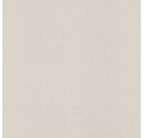 Vliesová tapeta 688047 jednobarevná šedá, stříbrná / Tapety na zeď Tropical House (0,53 x 10,05 m) Rasch