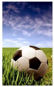DIMEX | Dětská vliesová fototapeta na zeď Fotbalový míč MS-2-0305  | 150 x 250 cm | zelená, modrá, bílá, černá