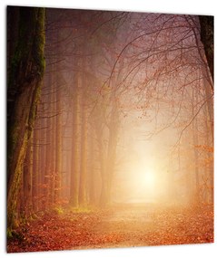 Obraz podzimního lesa v mlze (30x30 cm)