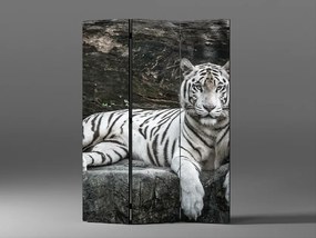 Liox Černobílý paraván tygr Rozměr: 135 x 180 cm