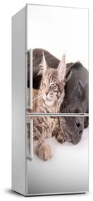 Wallmuralia Foto nálepka na ledničku stěnu Pes a kočka 60x180 cm