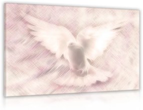 Malvis ® Obraz snová holubice Velikost (šířka x výška): 75x50 cm