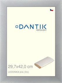 DANTIK rámeček 29,7x42 | LEDVINKA bílá (Plexi Čiré)