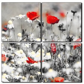 Obraz na plátně - Jarní louka- čtverec 3264QE (60x60 cm)