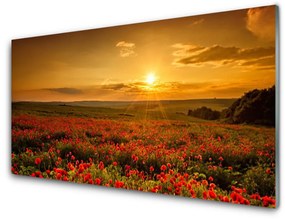 akrylový obraz Pole Máky Západ Slunce Louka 125x50 cm