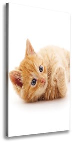 Wallmuralia Vertikální Foto obraz canvas Malá červená kočka 50x100