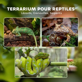 PawHut Skleněný terárium pro plazy Vivarium 12 L Box pro plazy S chladící síťovinou, pro žáby, hady, želvy, 20 x 30 cm, Černé