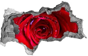 Wallmuralia Samolepící nálepka na zeď Květ růží 95x73 cm