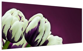 Obraz tulipánů  (100x40 cm)