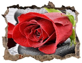 Wallmuralia Samolepící díra na stěnu Červená růže 95x64 cm