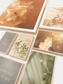 Sinsay - Sada rámečků s grafikou 7 pack - vícebarevná